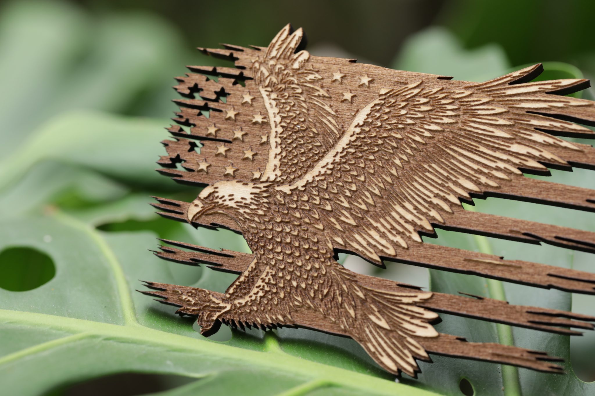NEJE laser engraver ideas—Eagle Relief Engrave And Cut - Materials ...